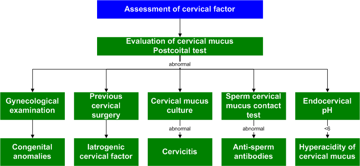 Management_infertile_couple