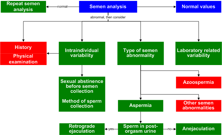 Proposed Methodology Workflow For Semen Analysis Is Represented Hot